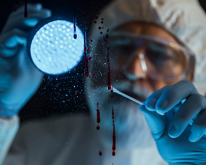 BSc (Hons) Forensic and Criminal Investigation Online - Arden ...